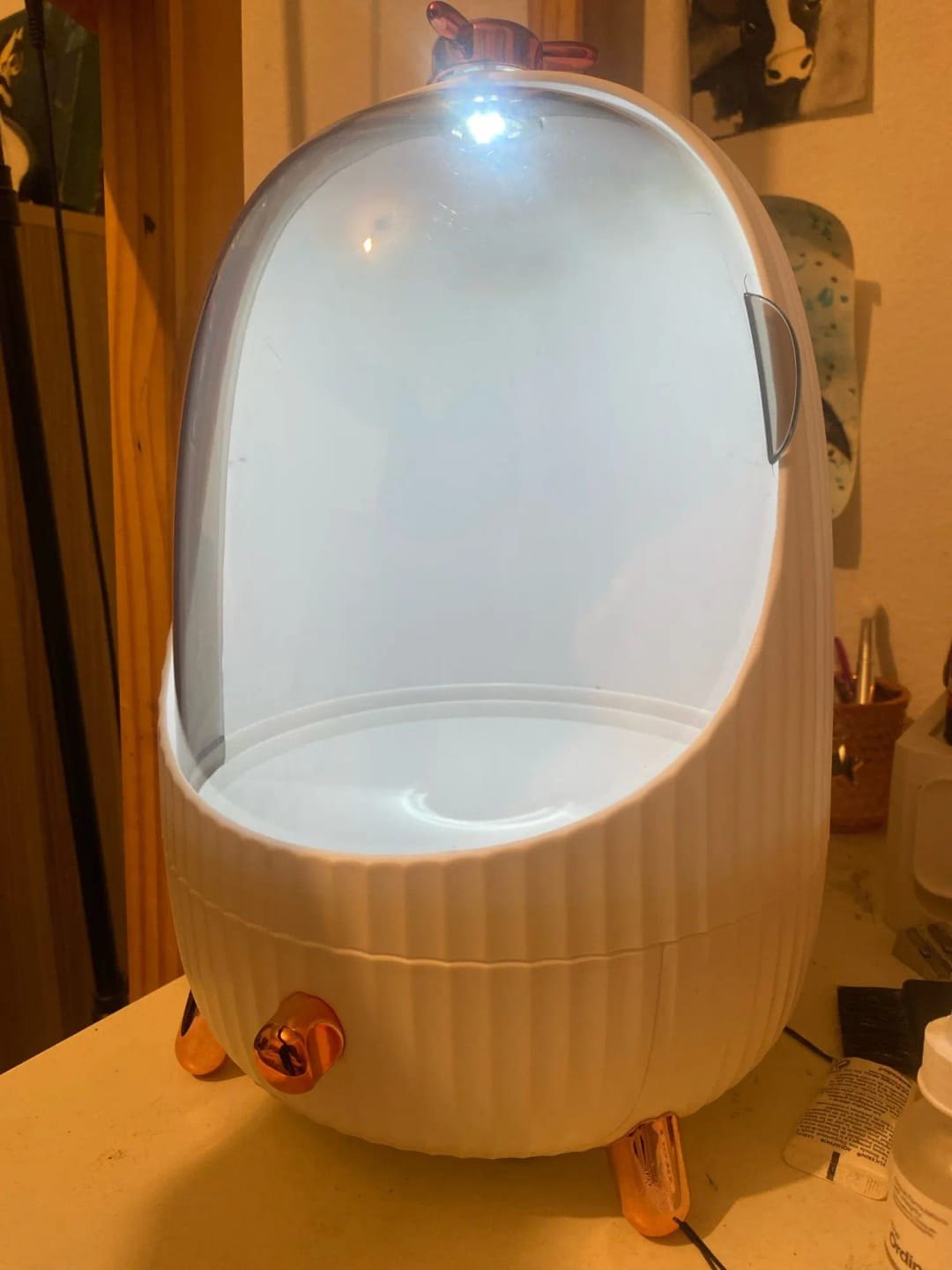 Illuminating Your Beauty Routine: The Ultimate Guide to LED Cosmetic ...